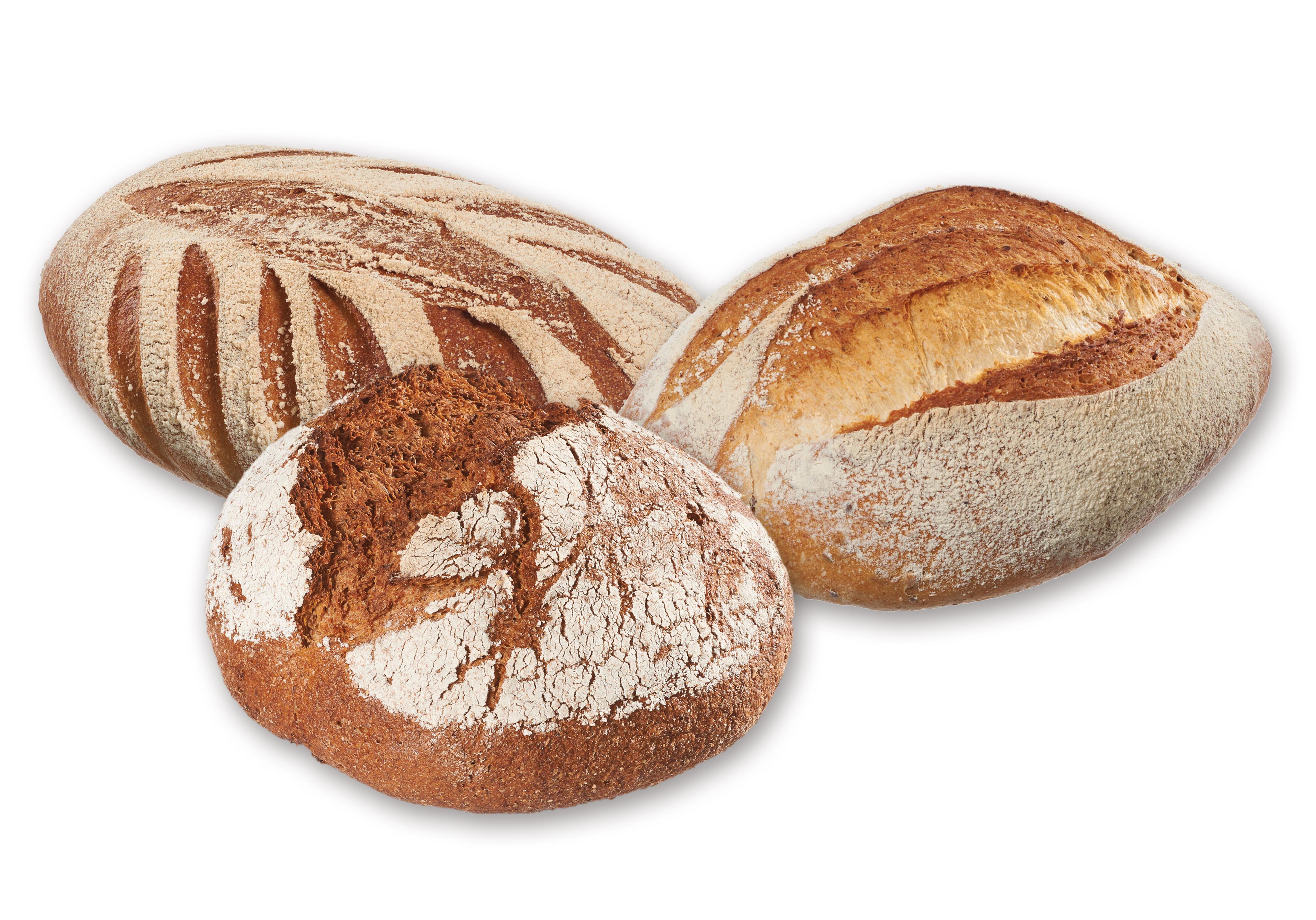 Home | Zonnemaire Biologische bakkerij (NAV-TEST)